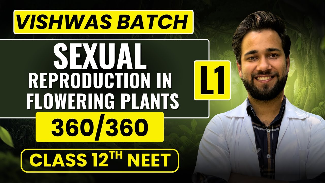 Sexual Reproduction in Flowering Plants – Lecture 1 | Class 12 | Botany ...