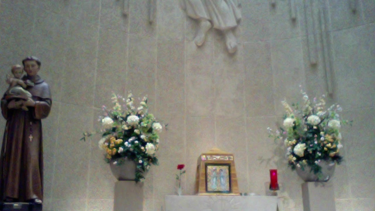 Wedding of Nicole Corona & Bryan Cipolla on Saturday June 20, 2020 ...