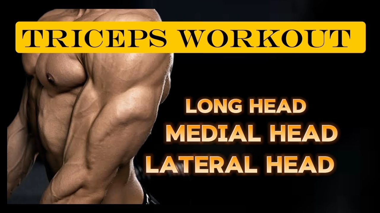 triceps Long head Medial head Lateral head - YouTube