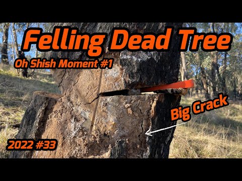 Tree Felling Goes Horribly Wrong - Tree Felling Oh Shish Moment - 2022 ...
