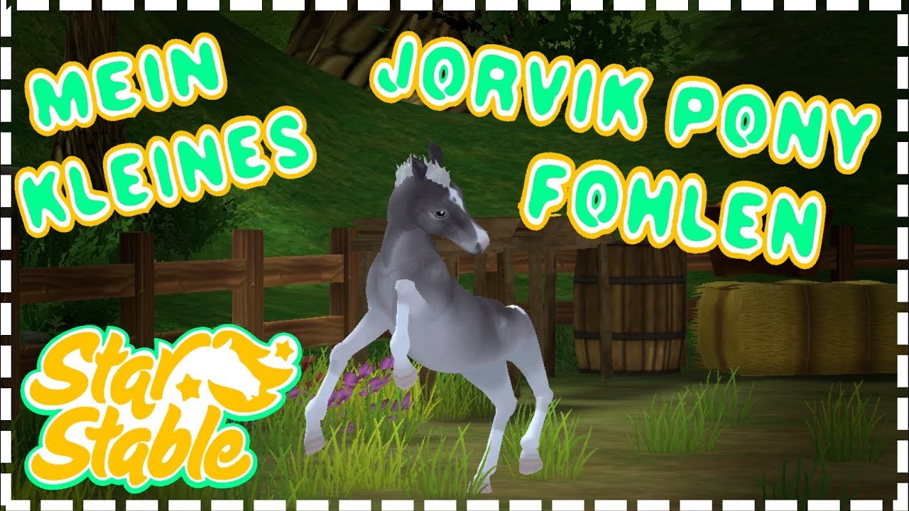Star Stable【SSO】- Mein kleines Jorvik Pony - Fohlen aus der App - YouTube
