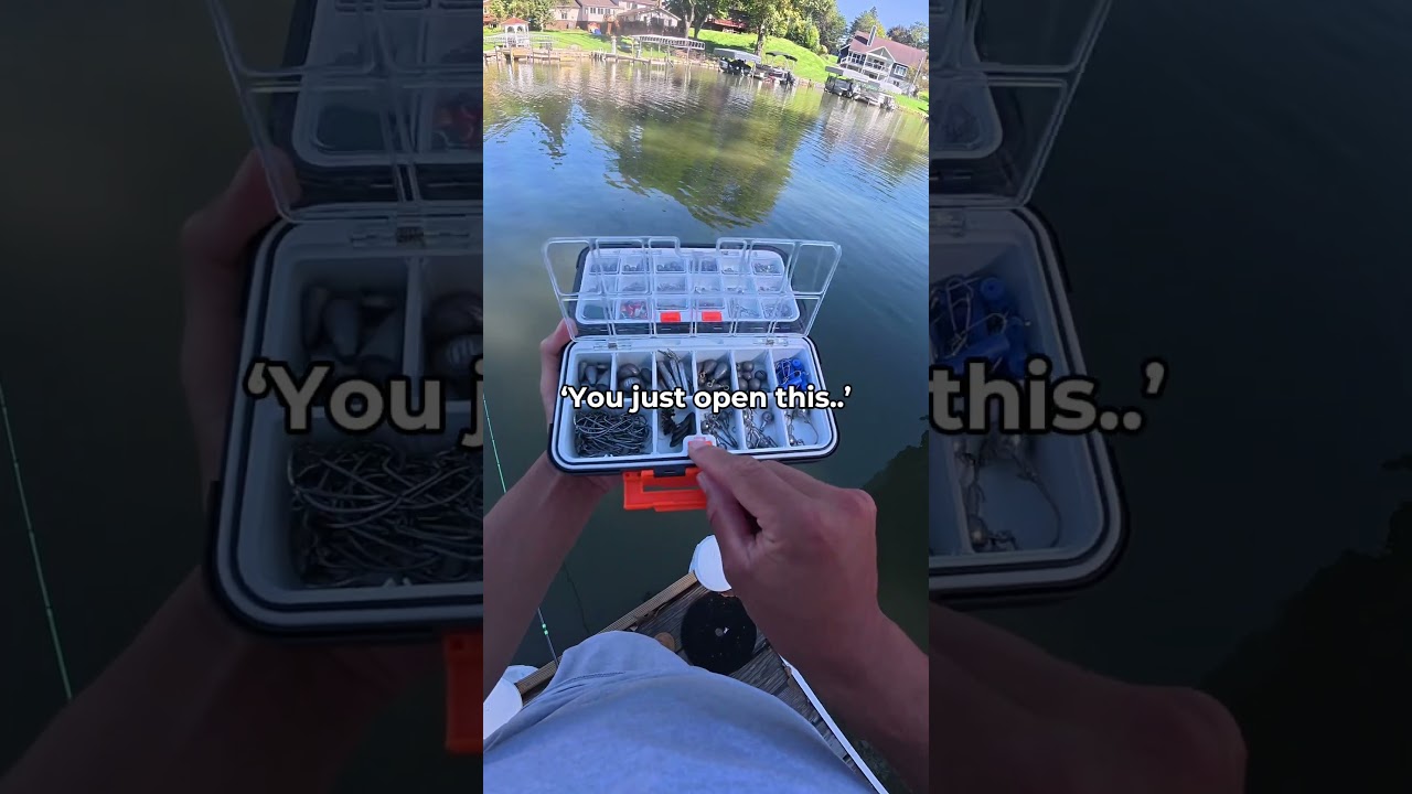 $0 Temu Fishing Tackle Box - Fishing