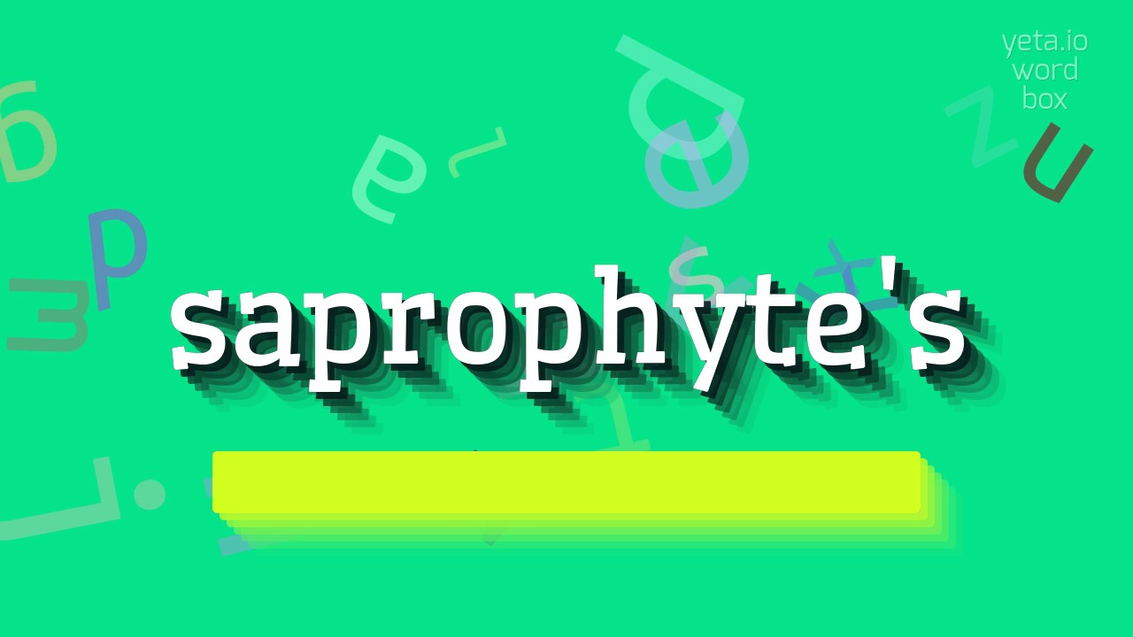 How to say "saprophyte's"! (High Quality Voices) - YouTube