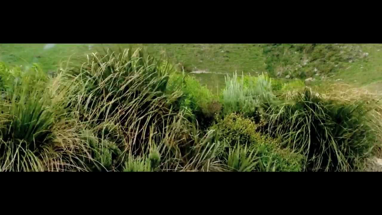 Franck Monnet "Waimarama " [Clip Officiel] - YouTube