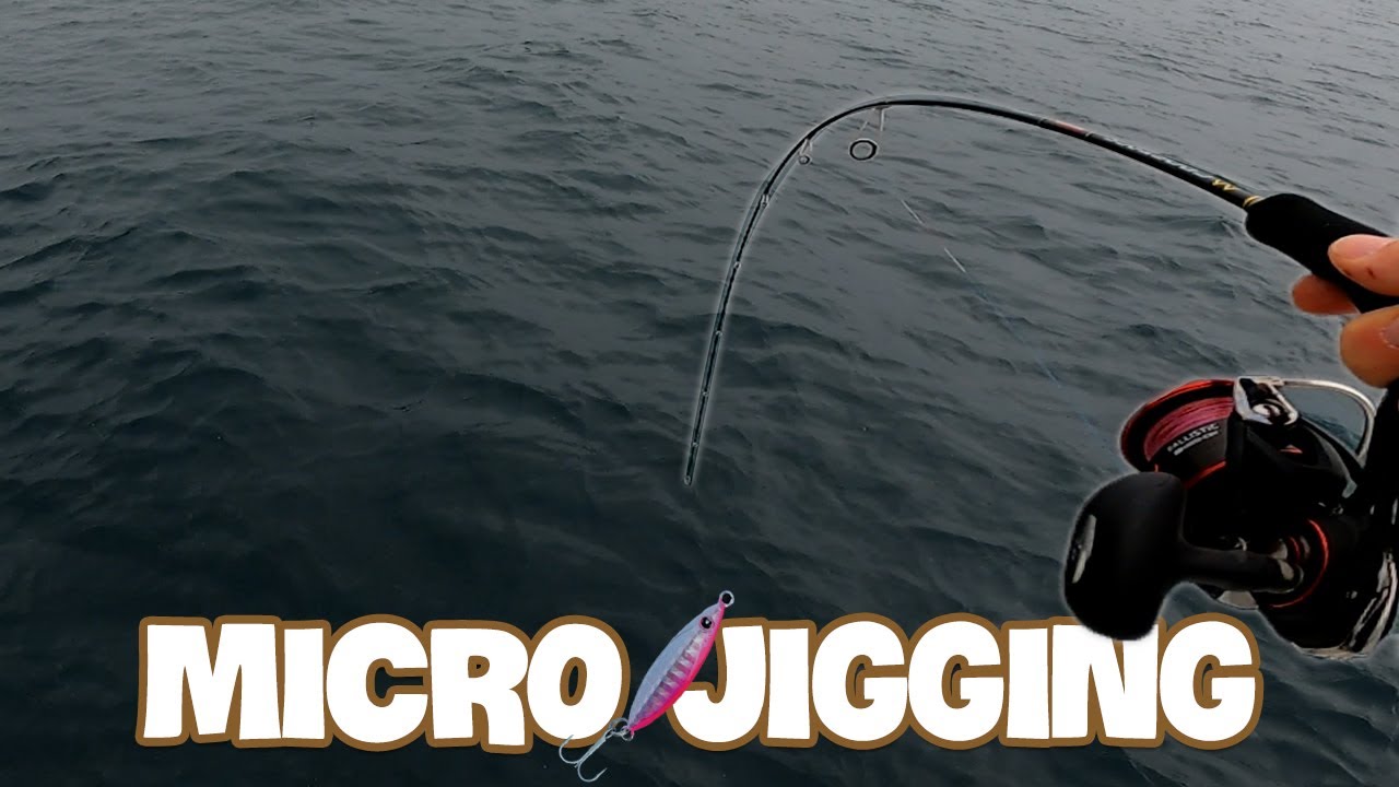 MICRO JIGGING : première sortie ... - YouTube