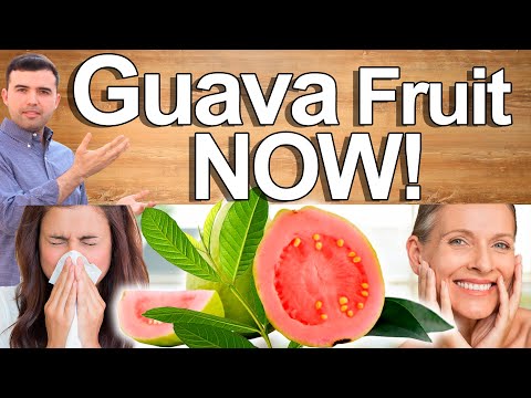 GUAVA NOW - Guava Fruit and Leaves Health Benefits and Contraindications