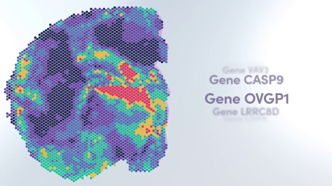 10x Genomics Visium Product Overview - YouTube
