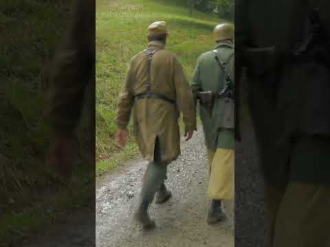 DDay'de Point du Hoc Cesaretin Zirvesi  #ikincidünyasavaşı #savaştarihi #shortvideo #tarih  #ww2