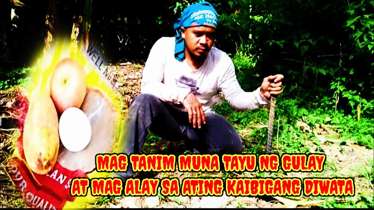 MAG TANIM MUNA TAYO AT MAG ALAY SA ATING KAIBIGAN GCASH#09765525237 ...