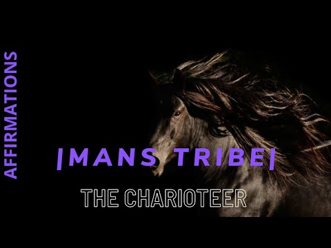 TRIBE MENTALITY || MANS MOTTO - YouTube