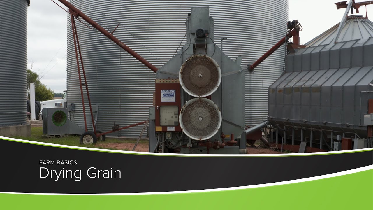 Drying Grain - YouTube