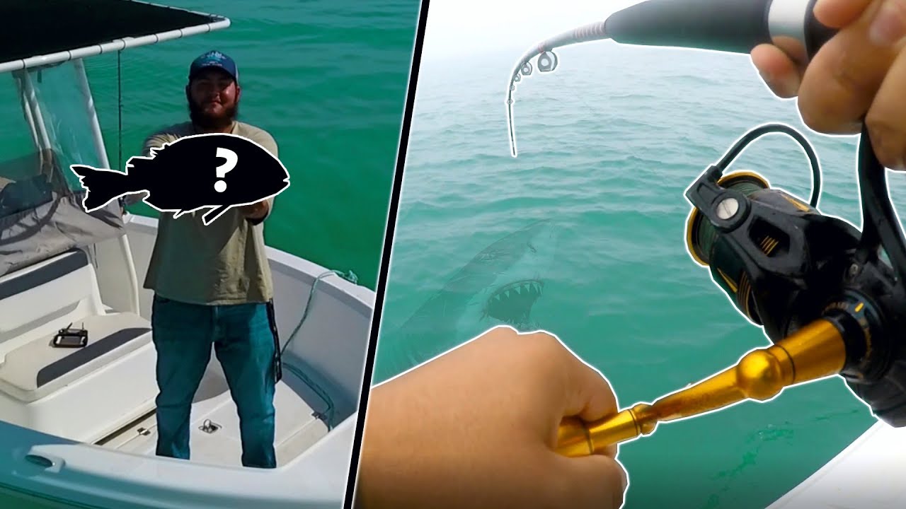 HUGE MYSTERY FISH caught on light Tackle! (Catch Clean Cook!) - YouTube