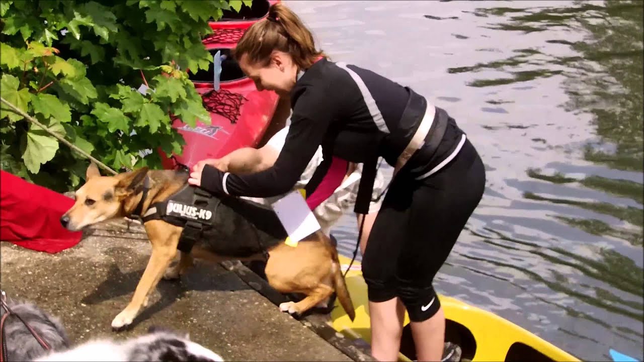 dog survival 2015 - YouTube