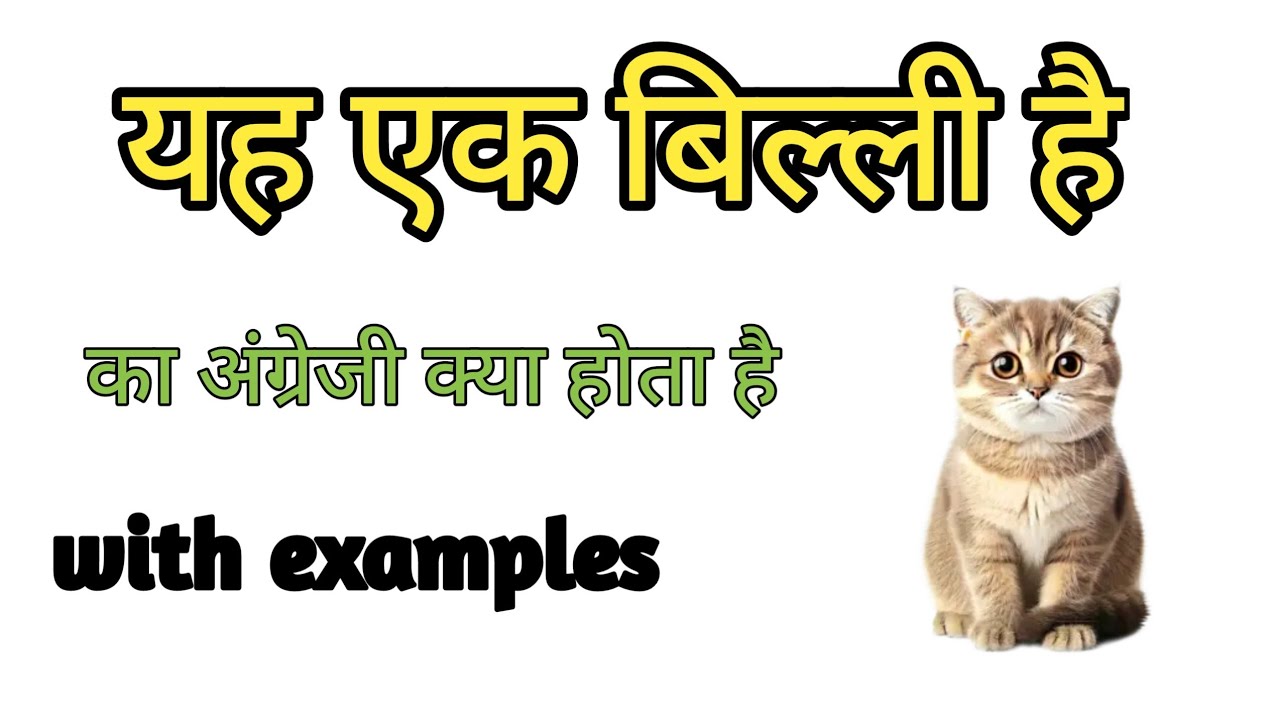 यह एक बिल्ली है को इंग्लिश में क्या कहते हैं | Yah ek billi hai ki ...