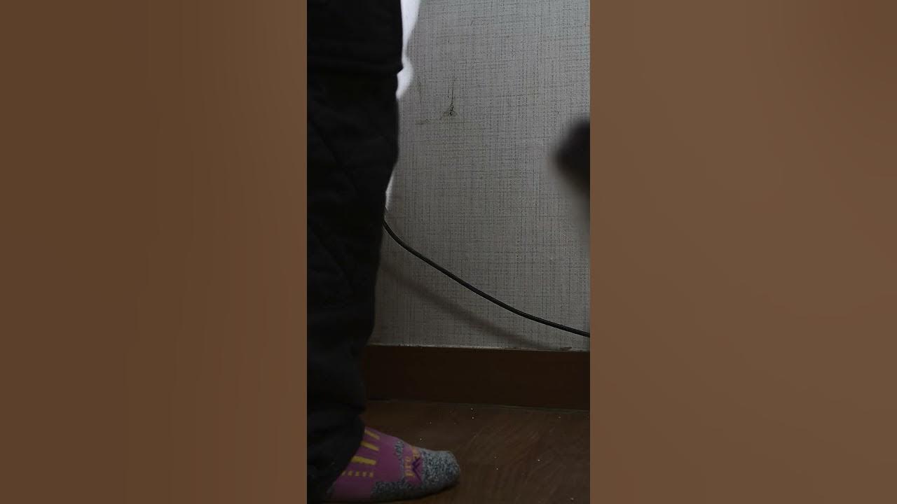 즐거운 크리스마스 길고양이들을 위한 엘라이신,타우린 면역력 증강을 위한 영양과자와 고메디쉬 습식캔 95g 240개 택배 도착 - YouTube