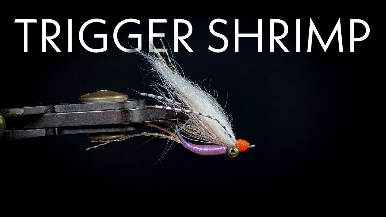 Trigger Shrimp - Fly tying with G.Zingaro - YouTube