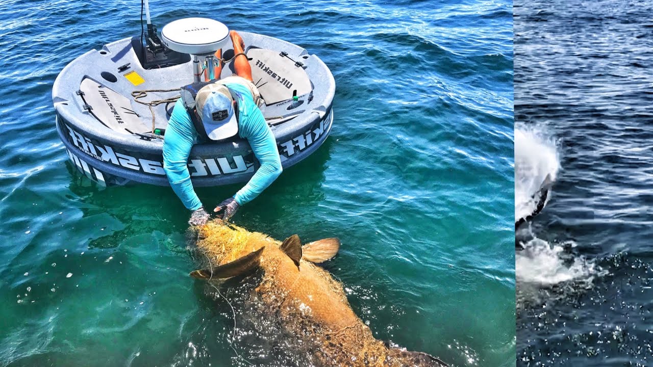 Goliath Grouper DRAGS "Unsinkable" Boat – You Won't Believe the Ending ...