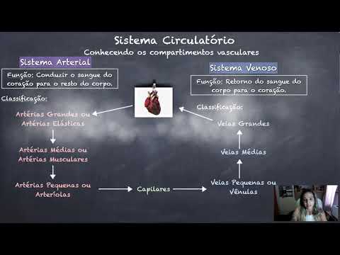 Introdução ao Sistema Circulatório - YouTube