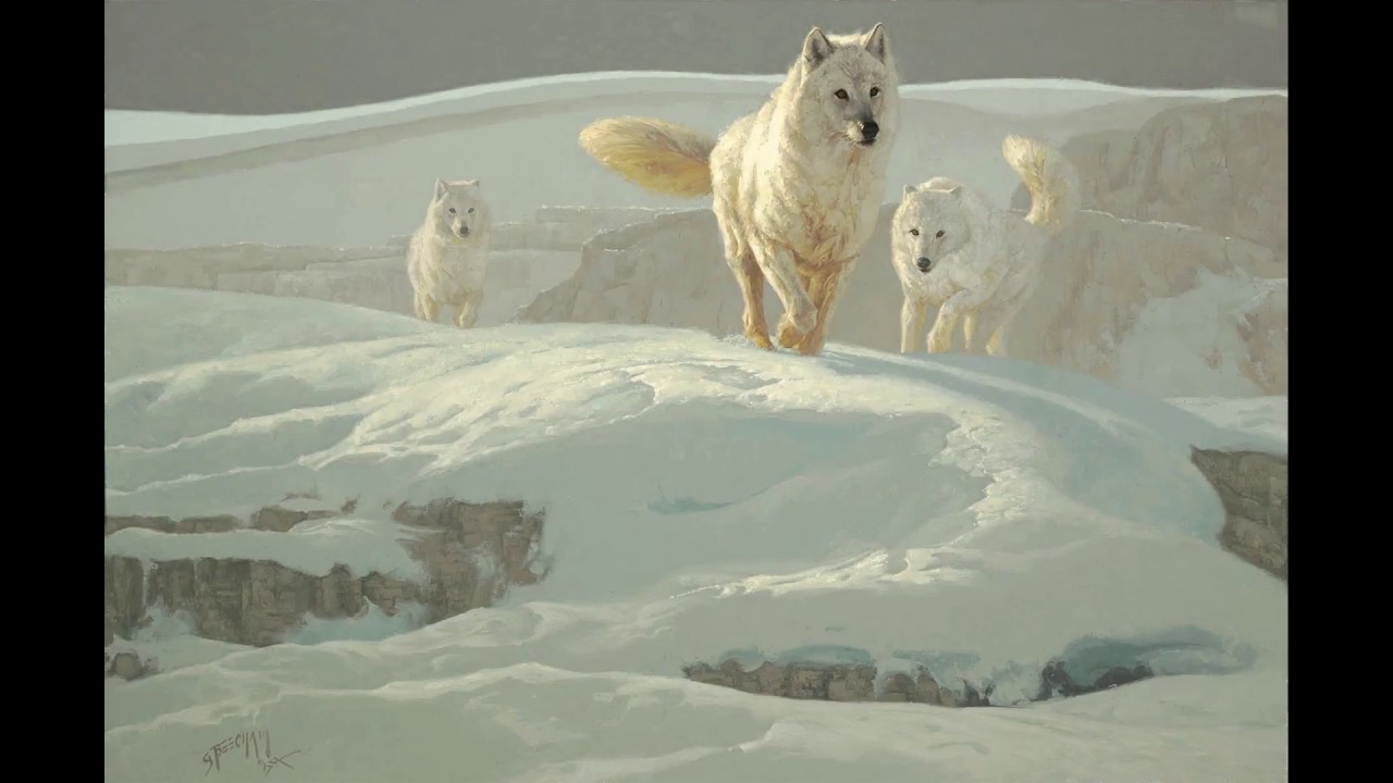 In the Studio featuring Greg Beecham - YouTube