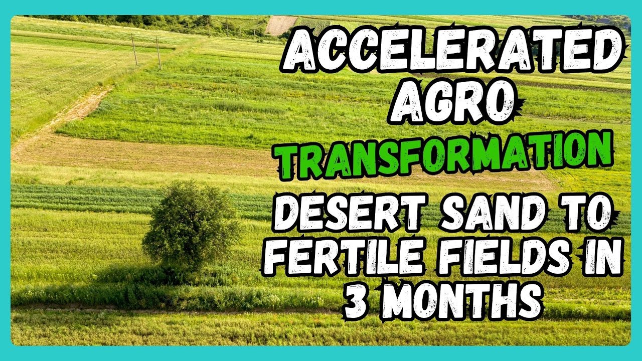 Accelerated Agro-Transformation: Desert Sand to Fertile Fields in 3 ...