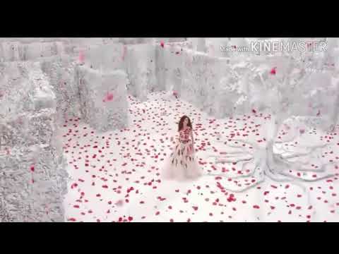 YouTube · smart & india  0:30 WhatsApp status video 2018.. .. ...,