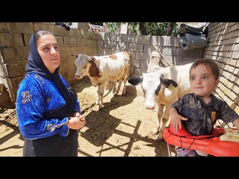 Earning a living; Sakineh's life of ups and downs.✨️