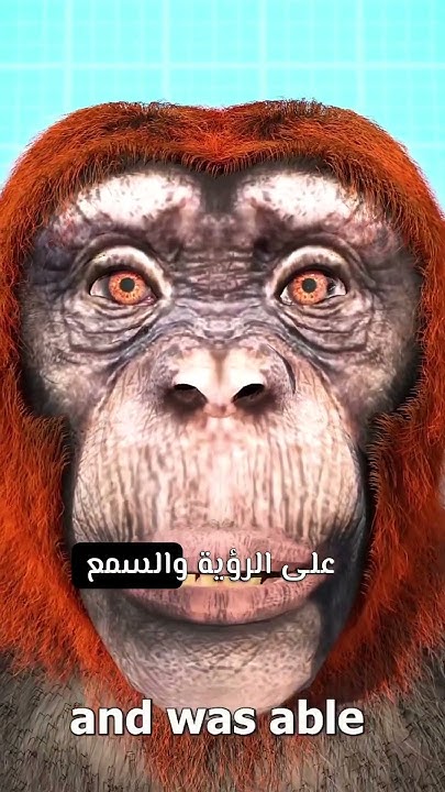 زراعة راس القرد Shorts Youtube