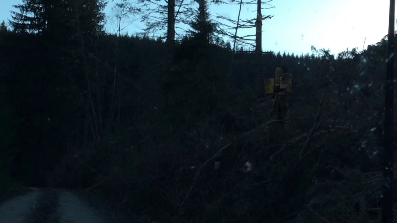 Hill side logging part 3 - YouTube