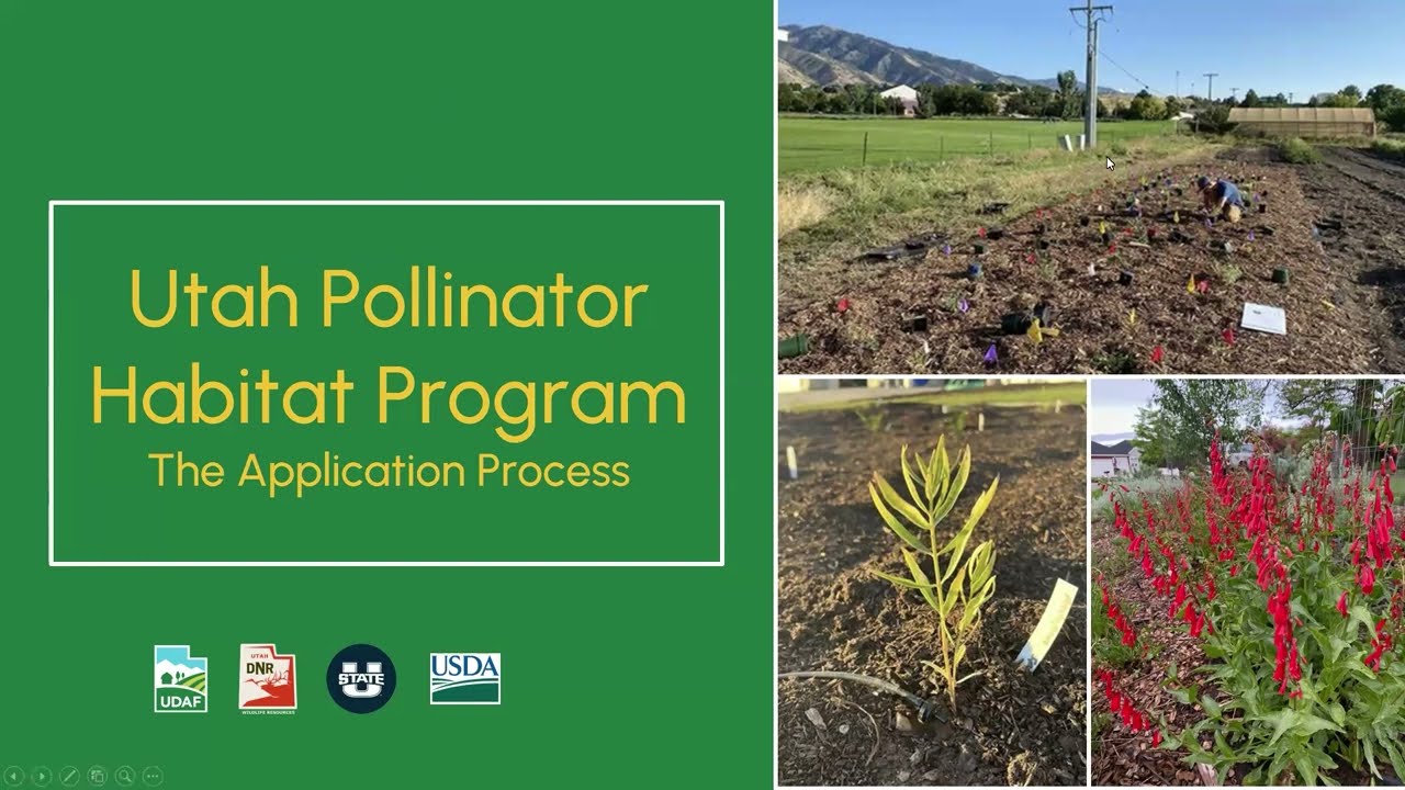 2024 Kickoff Webinar Application Process for Utah Pollinator Habitat Program - YouTube