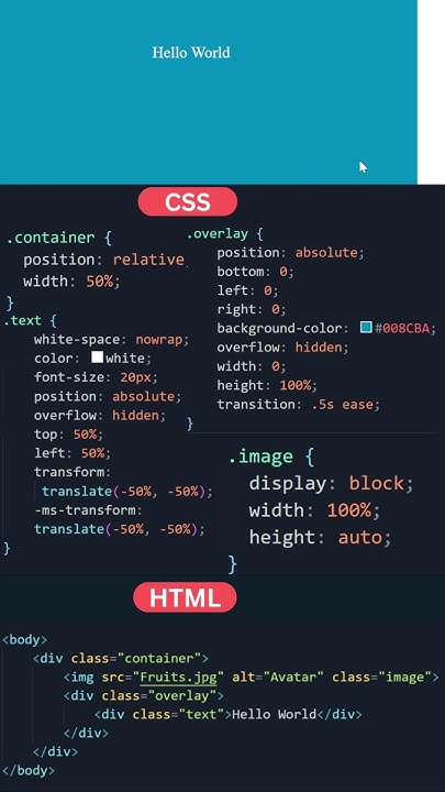 Css Image Hover Effects Css Image Styling Shorts Html Css Csseffect Youtube 