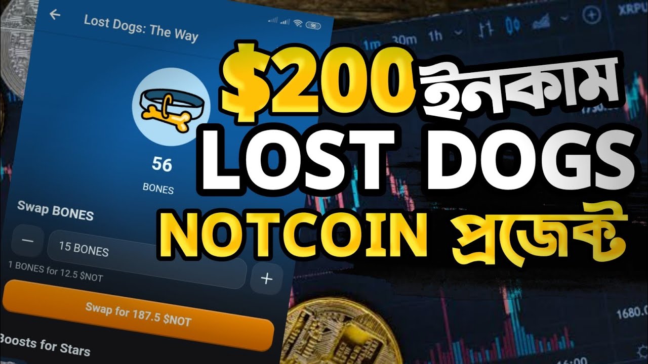 Lost Dogs: NOTCOIN Telegram Bot || Notcoin নিজস্ব অফার || Lost Dogs ...