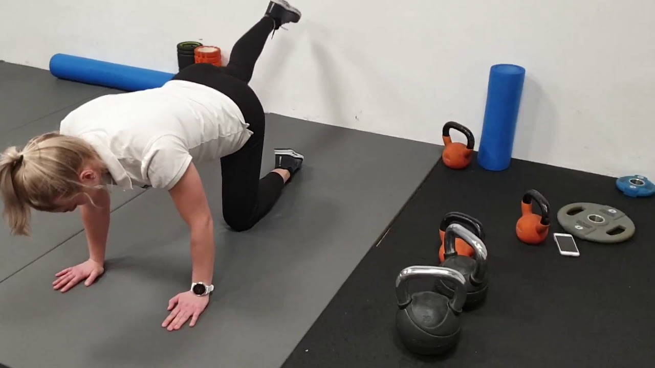 Core stability exercise - 4 point kneeling superman - YouTube