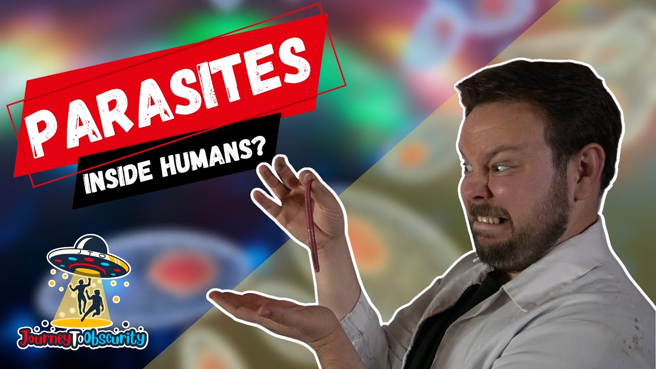 50% of people have this parasite living inside them! - YouTube