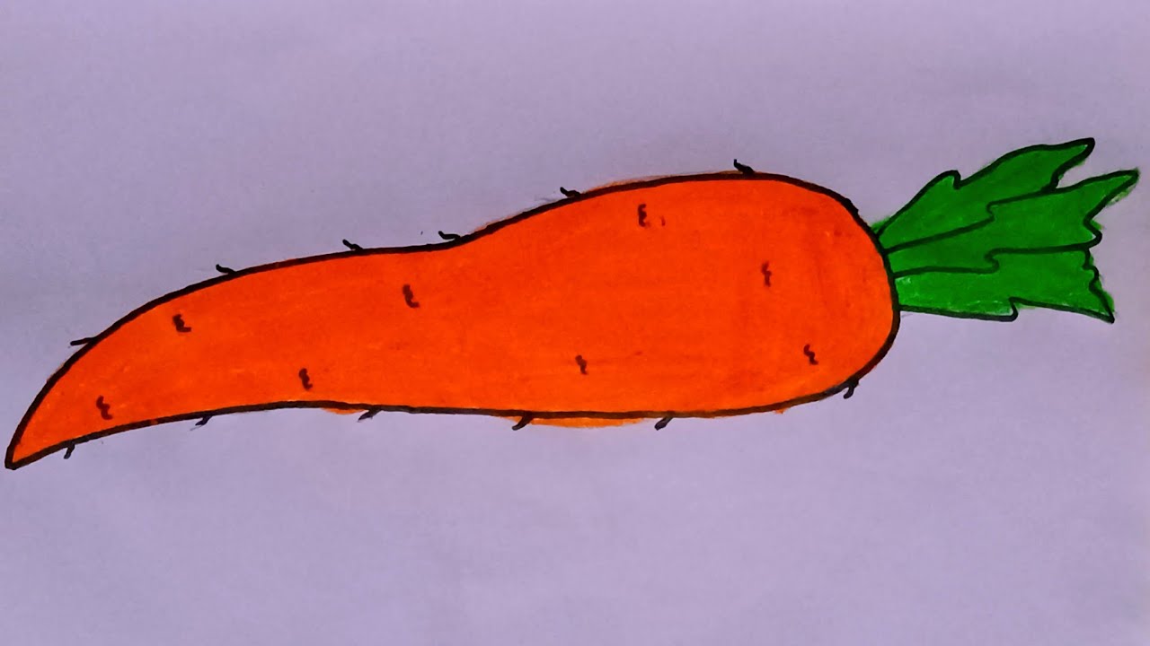 How to draw a Carrot step by step/Easy Carrot Drawing for beginners ...