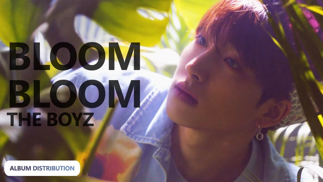 THE BOYZ - Bloom Bloom (Album Distribution) | TheSeverus - YouTube