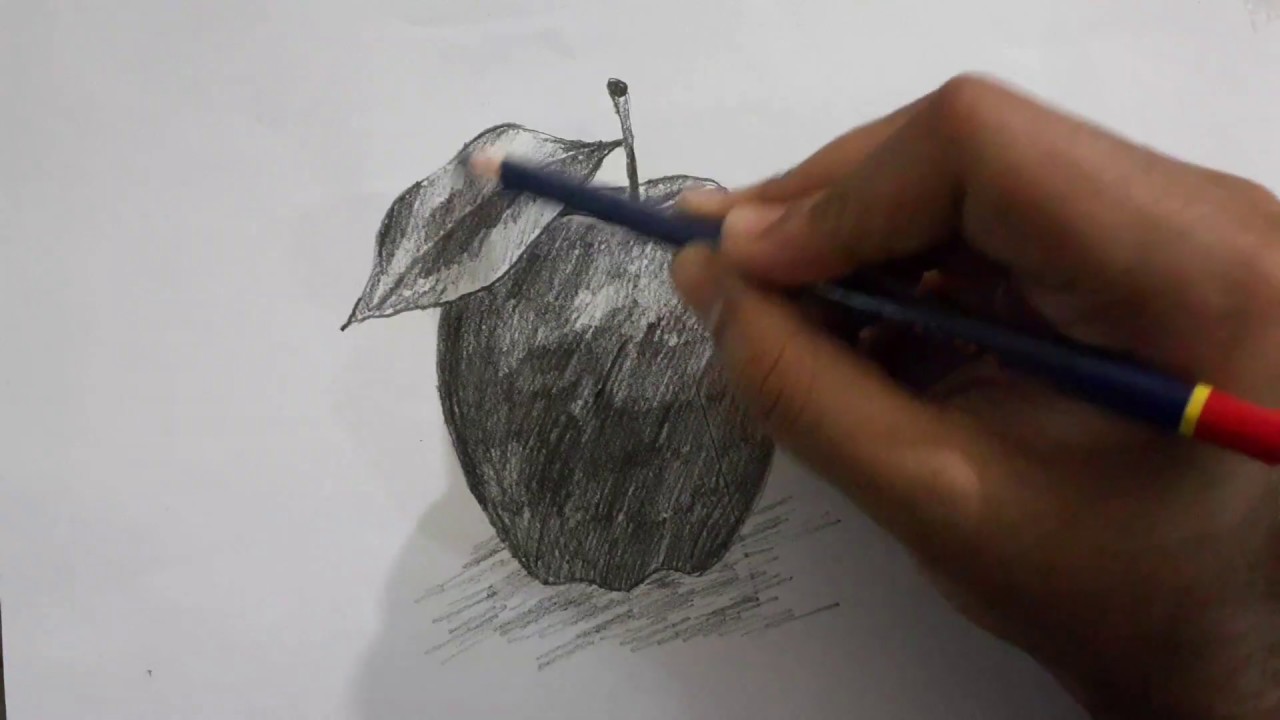 How to draw an apple || Pencil sketch || Apple Drawing - YouTube