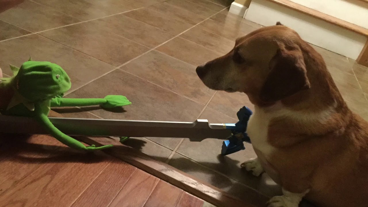 Killer Kermit Is Back - YouTube