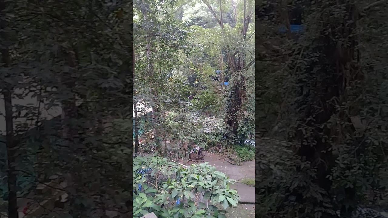 Menariknya!!! Wisata lombok aik nyet sesaot. - YouTube