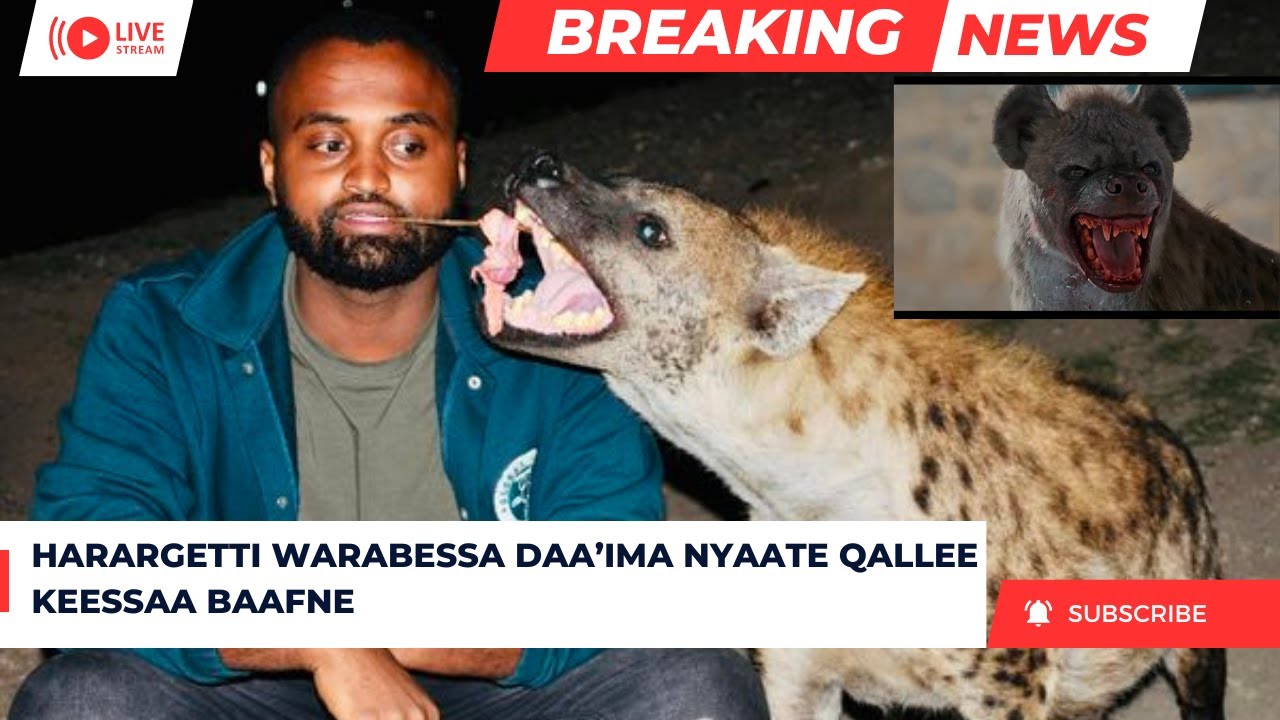 Waraabessa Daa'ima nyaate Qal'ee garaadhaa baafne - YouTube