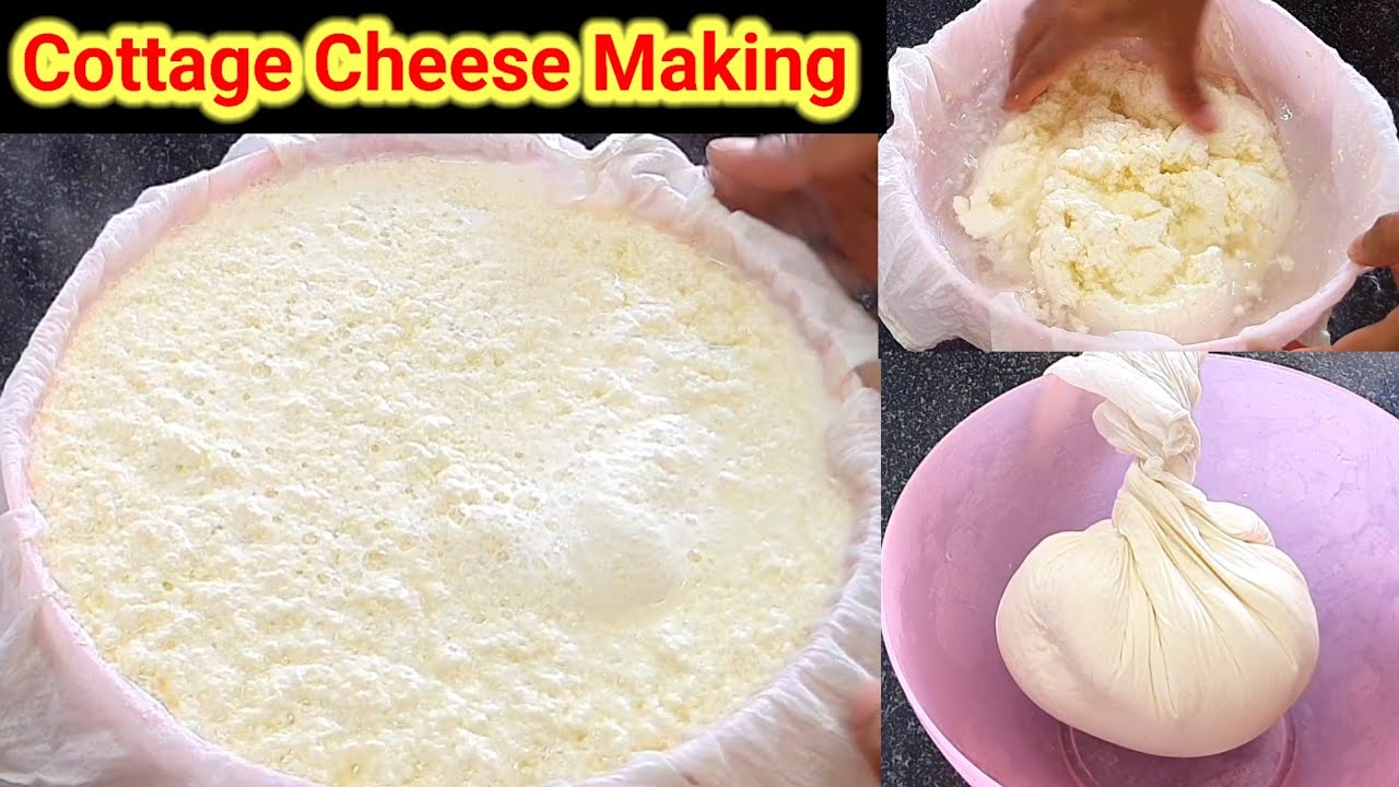 Homemade Cottage Cheese Making With 2_Ingredients || Sana Making ...