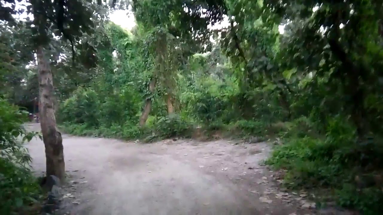 PALASHBARI Ecological Resort - YouTube