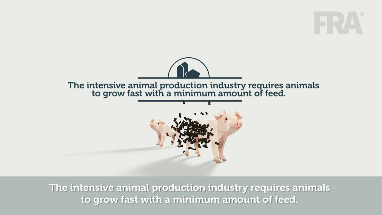 How to maximize fat energy? FRA LeciMax - YouTube