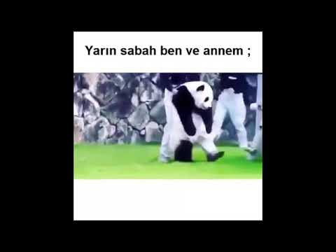 İnstagramdaki en komik kısa videolar