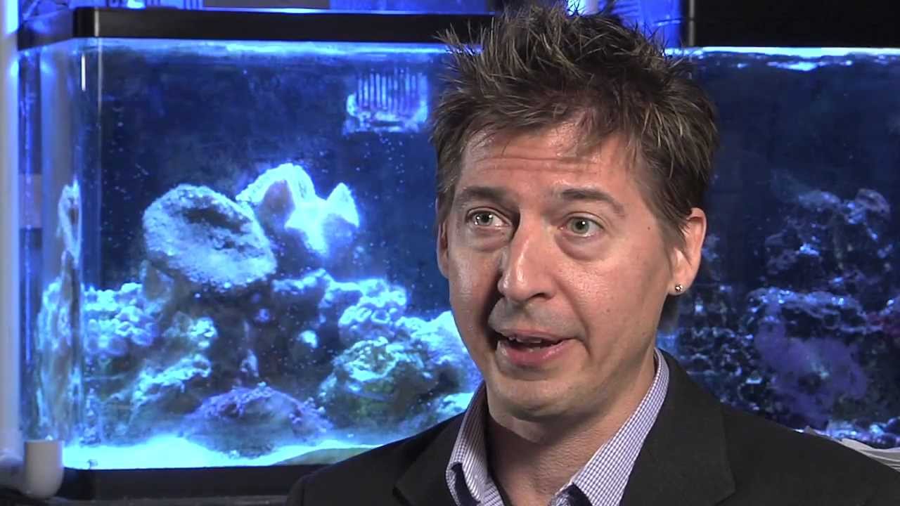 Living the Promise: David Kisailus - YouTube