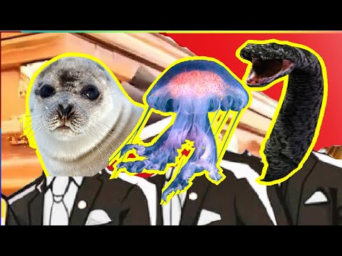 Seal Vs Jellyfish Vs Sea Snake - Coffin Dance Meme Cover - YouTube