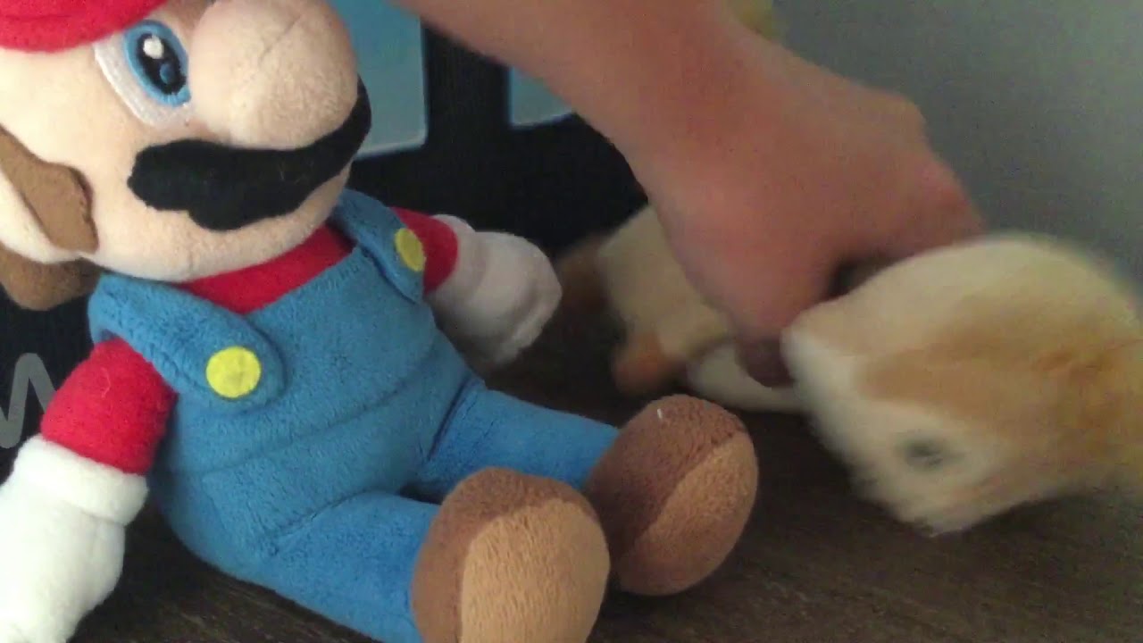 Theodore misbehaves at KFC - YouTube