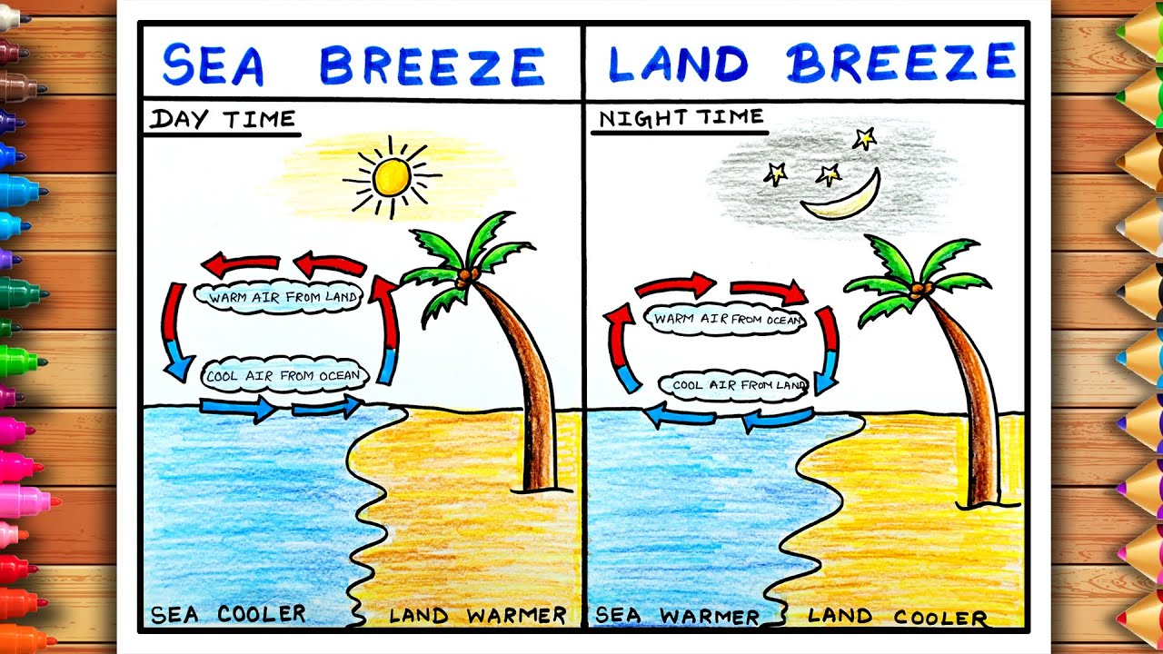 Sea Breeze and Land Breeze Drawing | Sea Breeze, Land Breeze Diagram ...