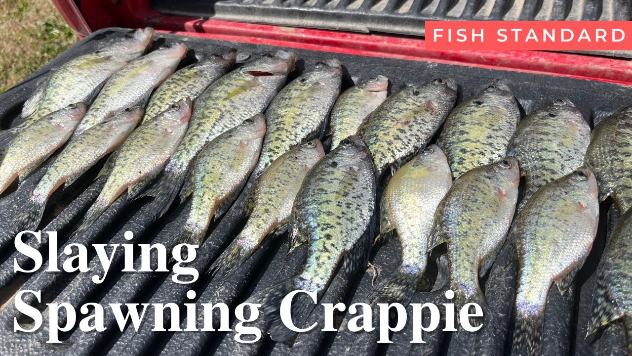 Slaying Spawning Crappie in the Wind - YouTube