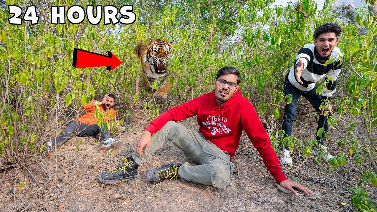24 Hours In Jungle Challenge Will I Survive - YouTube