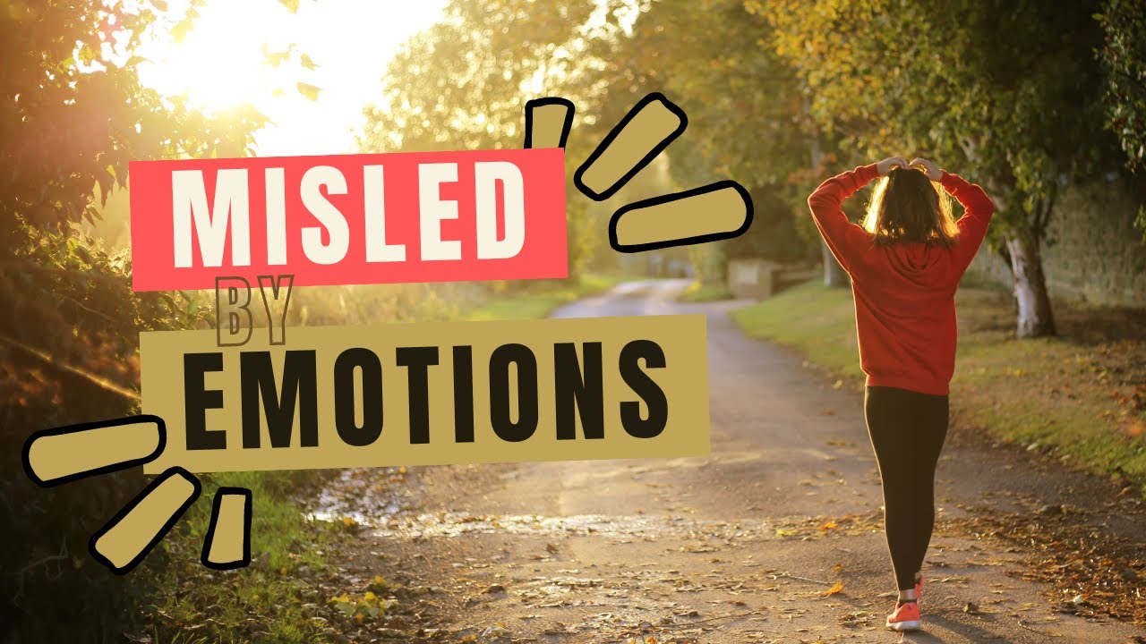 Don't Be Misled by the Appeal to Emotion Logical Fallacy - YouTube